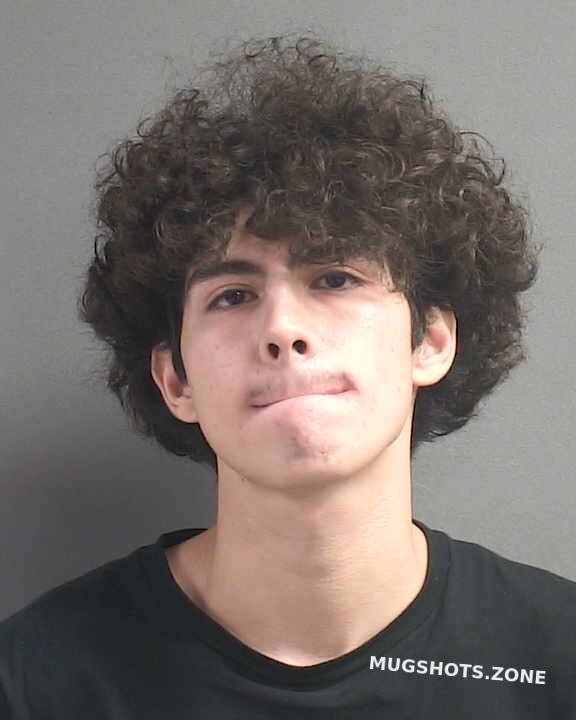 CASTRUITA BRYAN ALEXIS 10/18/2025 - Volusia County Mugshots Zone