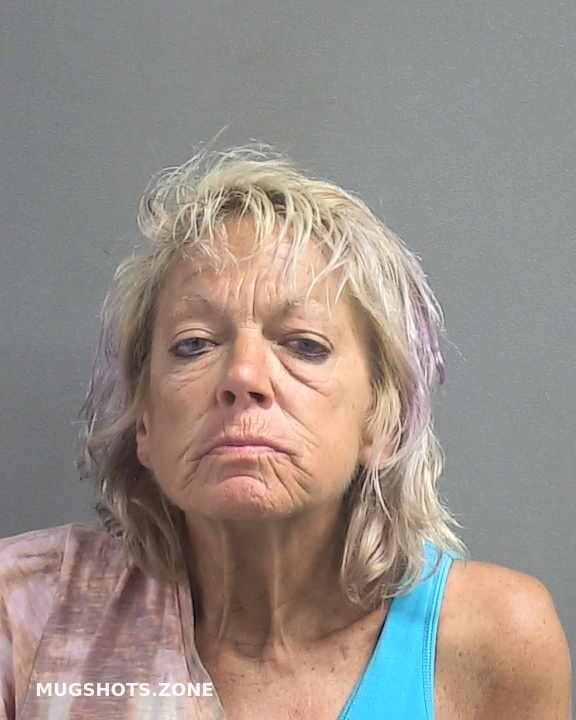 CLOUETTE MICHELE S 10/22/2025 - Volusia County Mugshots Zone