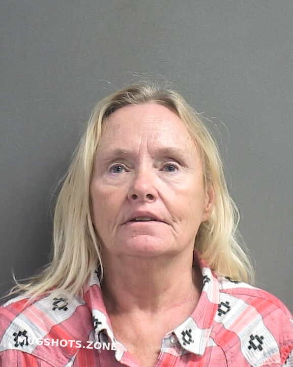 STROKE LISA RENEE 10/26/2025 - Volusia County Mugshots Zone