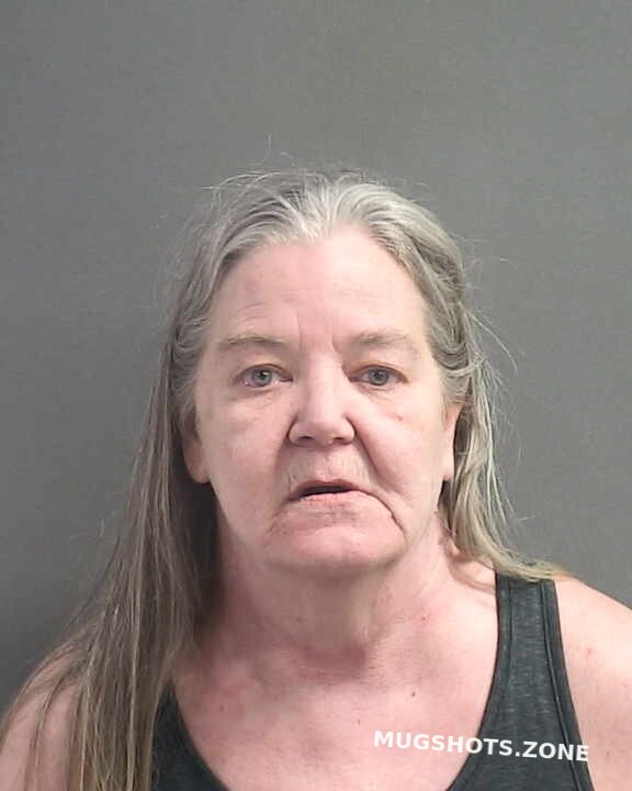 PEDDER AMY HELEN 12/24/2025 - Volusia County Mugshots Zone