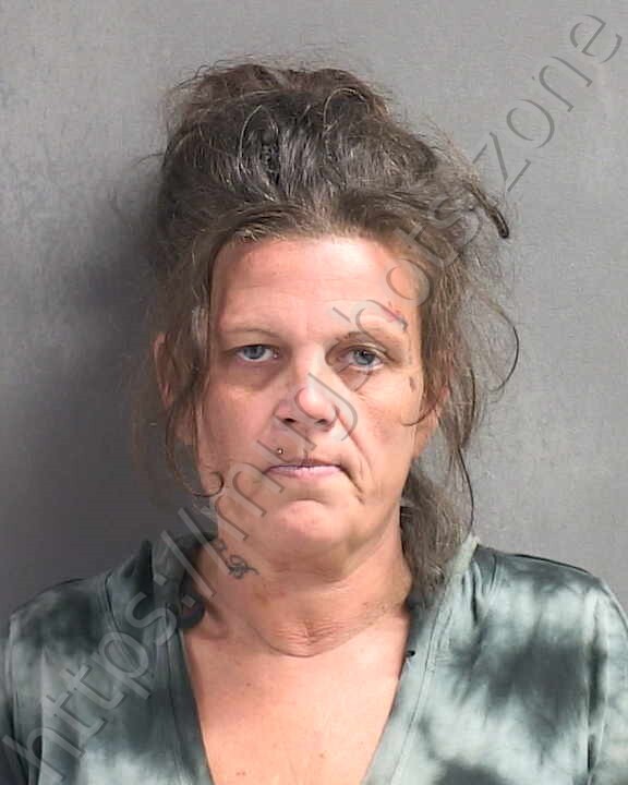 SHAVERS ROXANNE LEE 02/27/2026 - Volusia County Mugshots Zone