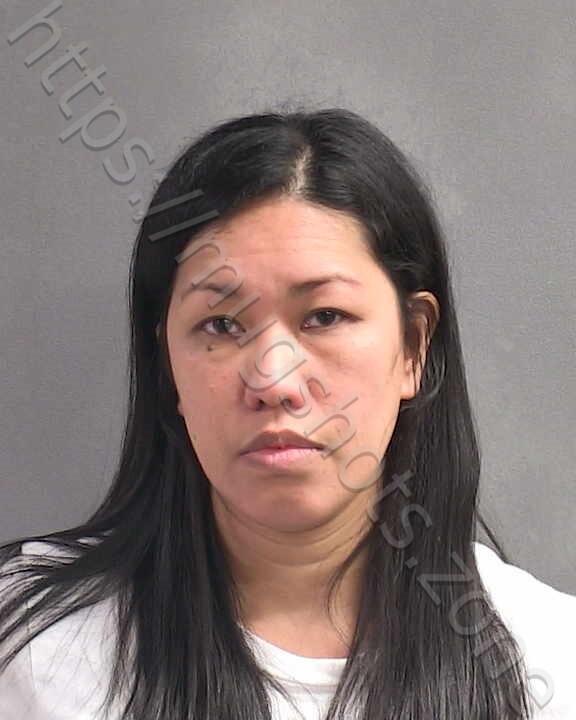 SIMON ROWENA CABIA AN 03/14/2026 - Volusia County Mugshots Zone