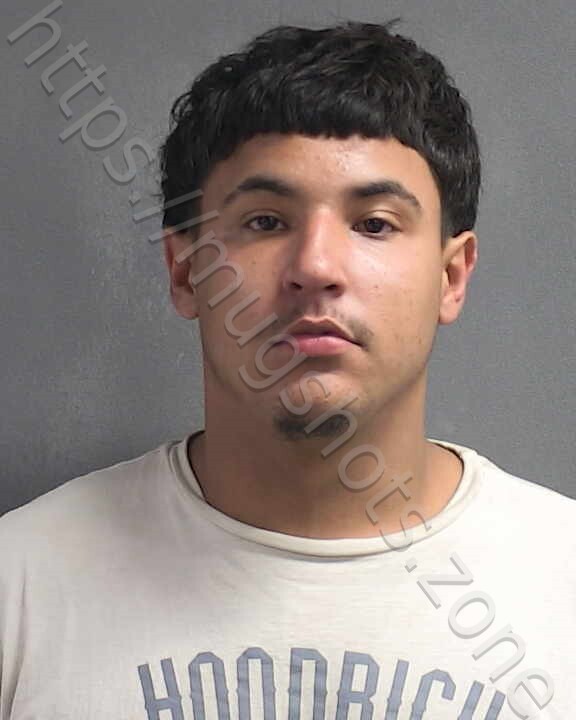 ALVAREZ PADILLA YANDEL 03/21/2026 - Volusia County Mugshots Zone