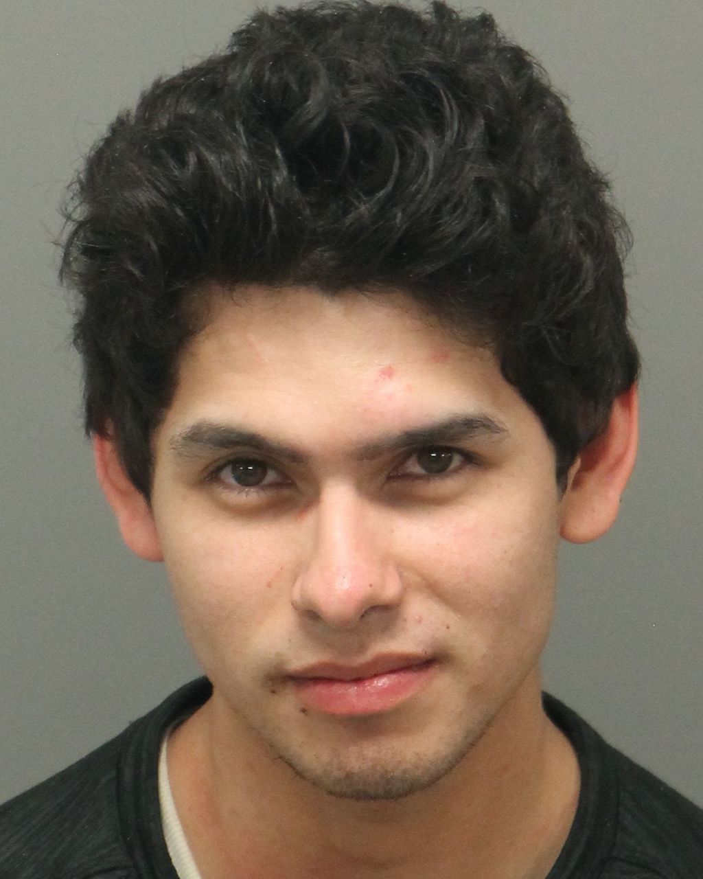 STERN DAVID 12/05/2020 - Wake County Mugshots Zone