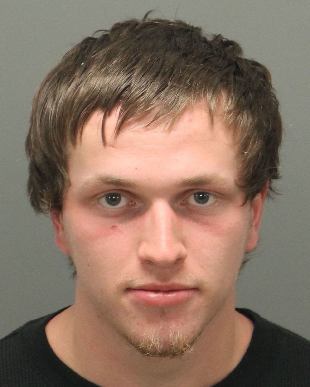 HICKS TYLER STEPHEN 12/29/2020 - Wake County Mugshots Zone