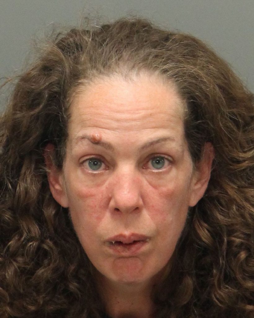 WYNNE ERIN ELIZABETH 01/15/2021 - Wake County Mugshots Zone