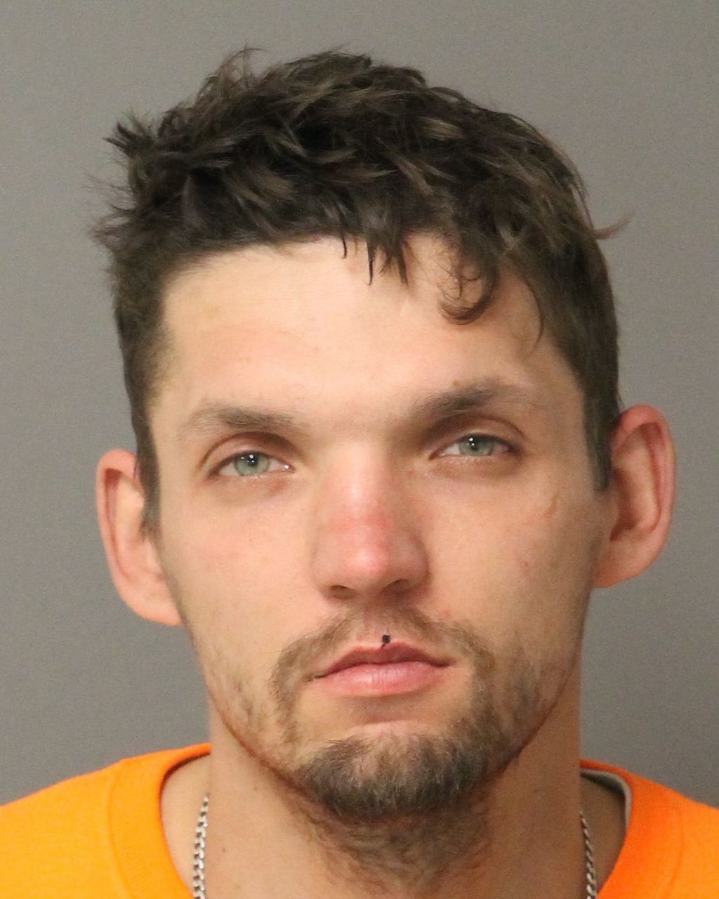 BRICKLEY ALEXANDER JOSIAH 01/26/2021 - Wake County Mugshots Zone