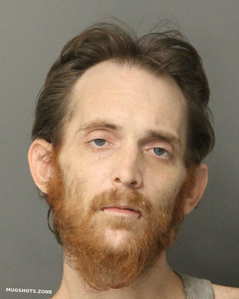 SCHULTZ DYLAN KENNETH 09/01/2021 - Wake County Mugshots Zone