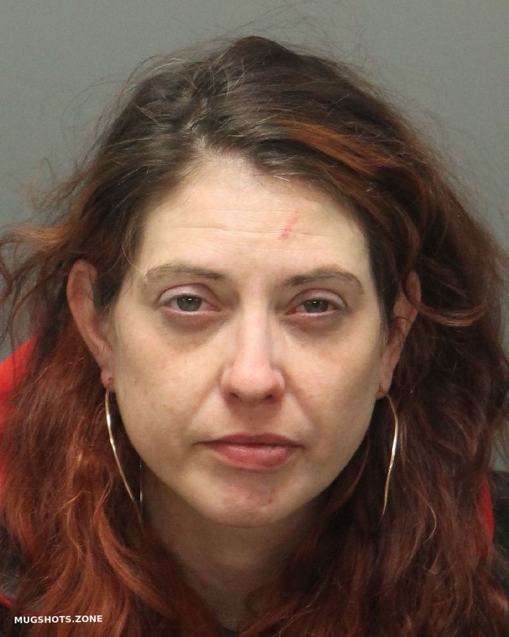 FREEBORN SUSAN LEIGH 11/15/2021 - Wake County Mugshots Zone