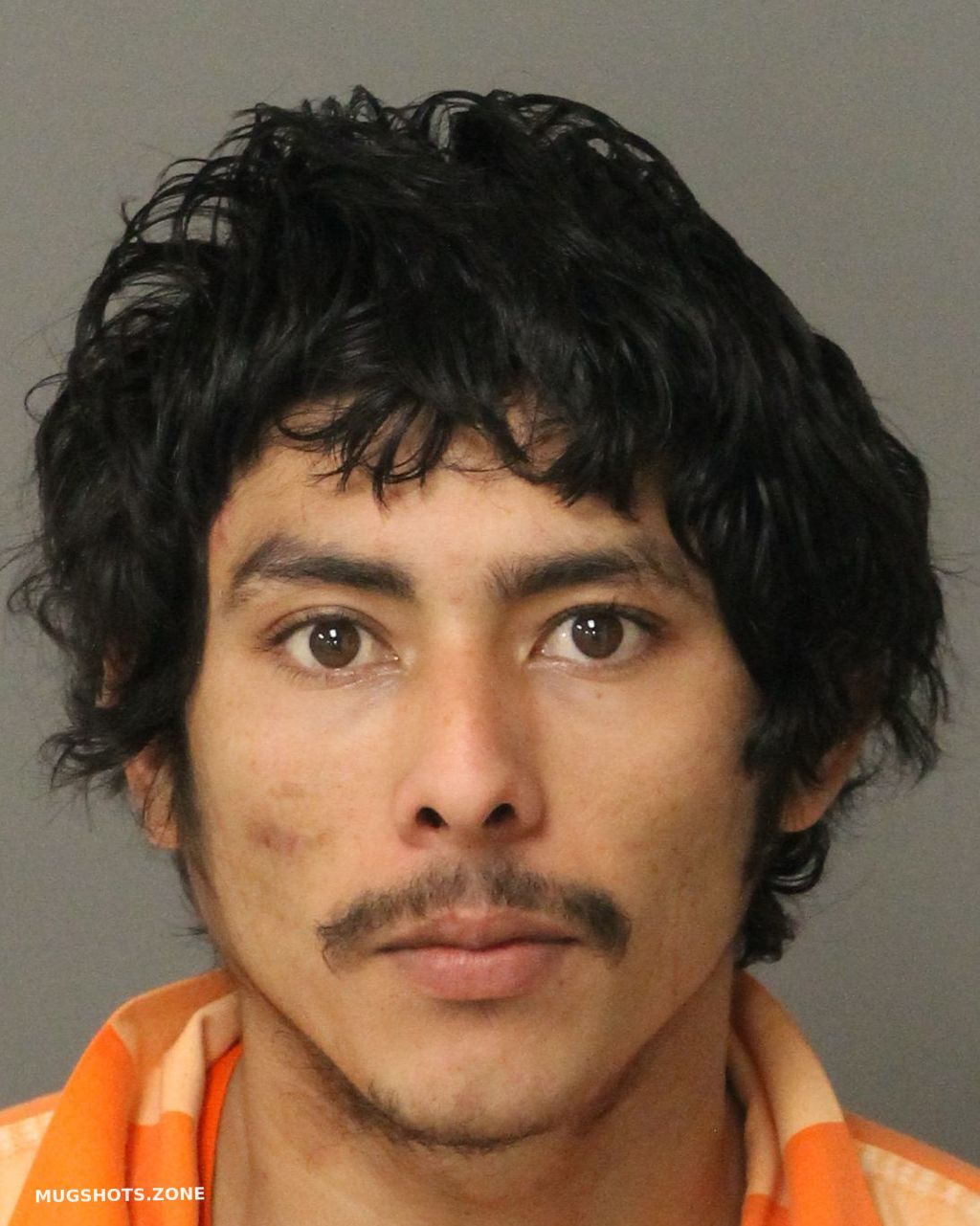 ZAVALA-RODRIGUEZ WILLIAM ALEXA 01/08/2022 - Wake County Mugshots Zone