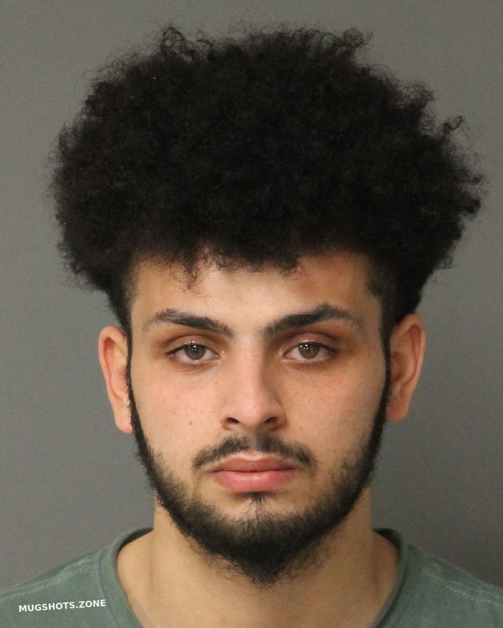 ELBARDAWEEL SAID RAFAT 02/17/2022 - Wake County Mugshots Zone