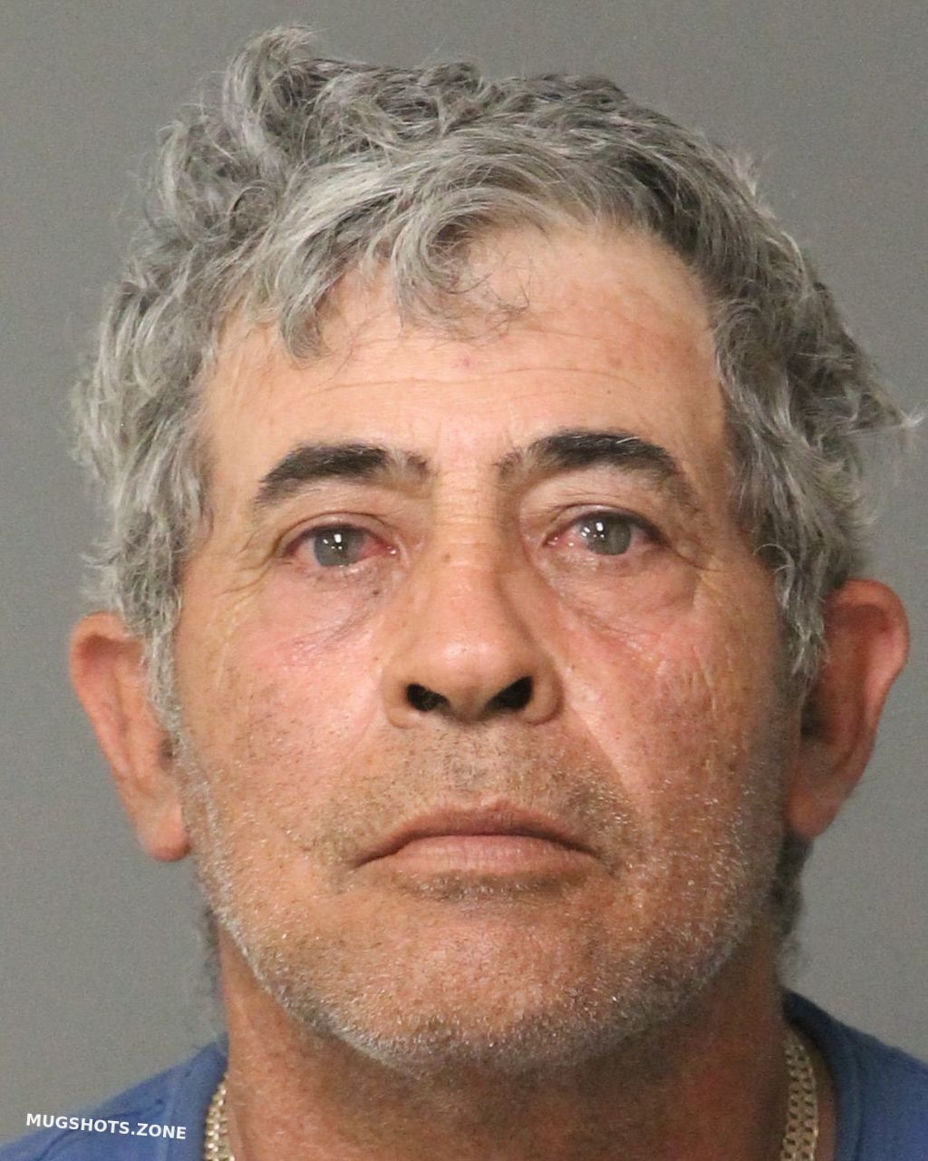 DELMAS-BELLO RAMON GREGORIO 06/09/2022 - Wake County Mugshots Zone