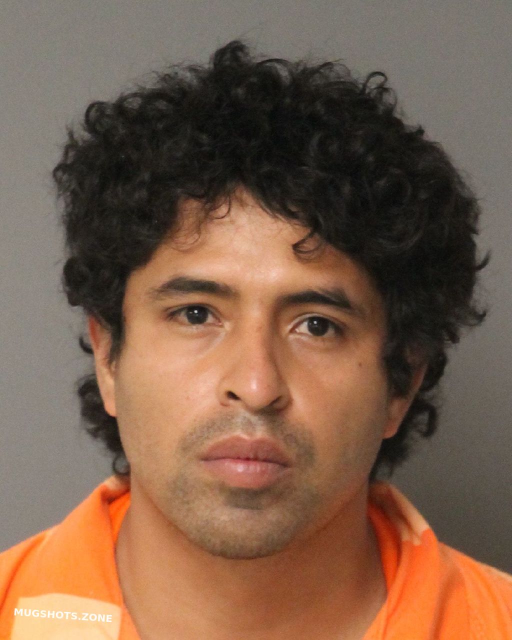 VILLAFANA-TIJERI TOMAS ALI 07/25/2022 - Wake County Mugshots Zone
