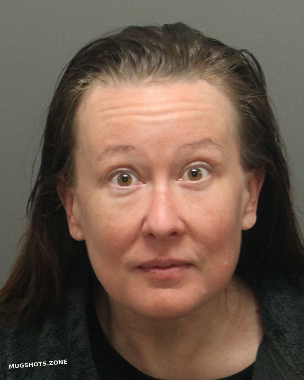GARNER ELIZABETH ANNE 11/06/2022 - Wake County Mugshots Zone