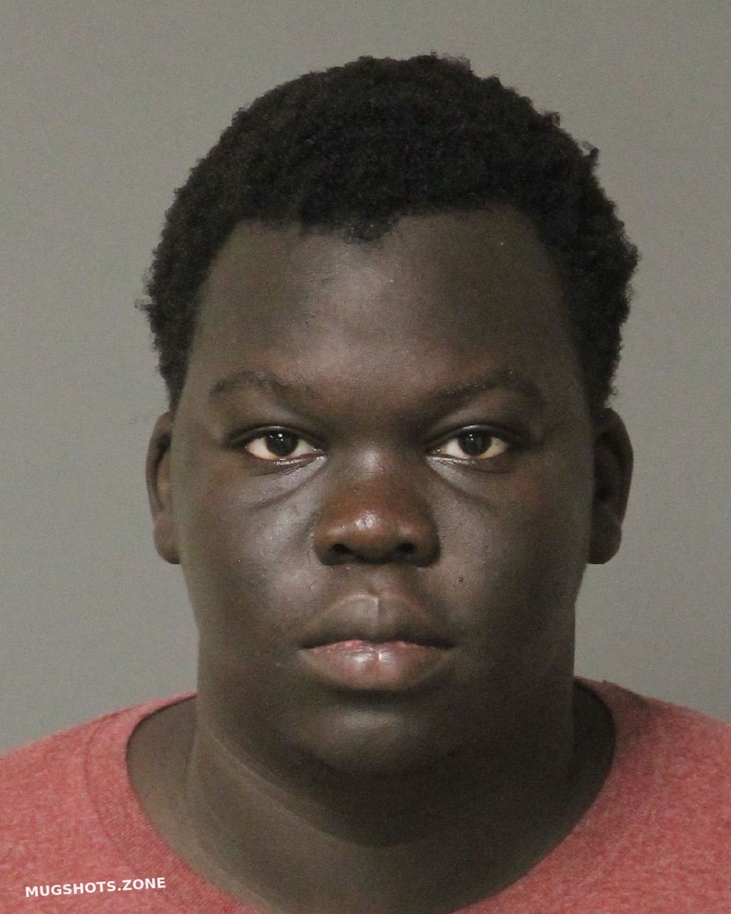 WOL WOL WILLIAM-MAYE JR 11/12/2022 - Wake County Mugshots Zone