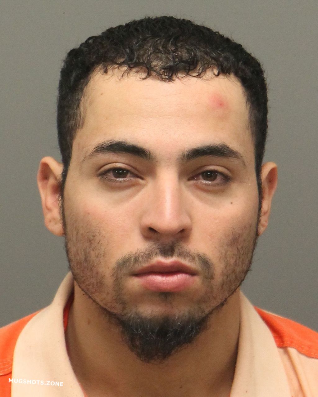 SARABIA-SALGADO YONY ALEXIS 12/06/2022 - Wake County Mugshots Zone