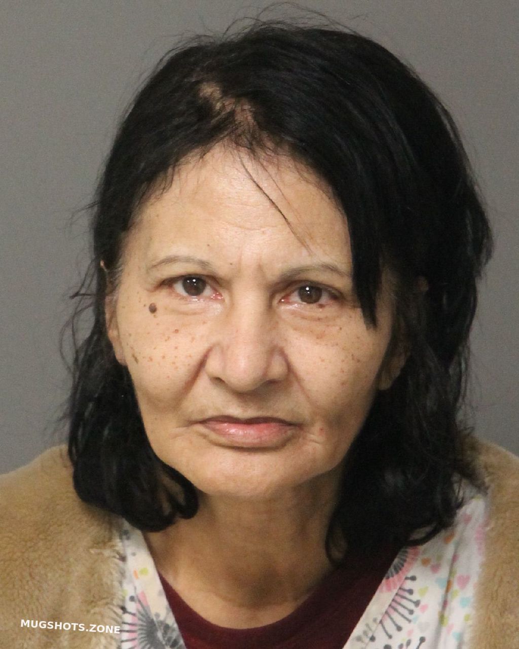 LOCKLEAR SANDRA MICHELLE 01/20/2023 - Wake County Mugshots Zone