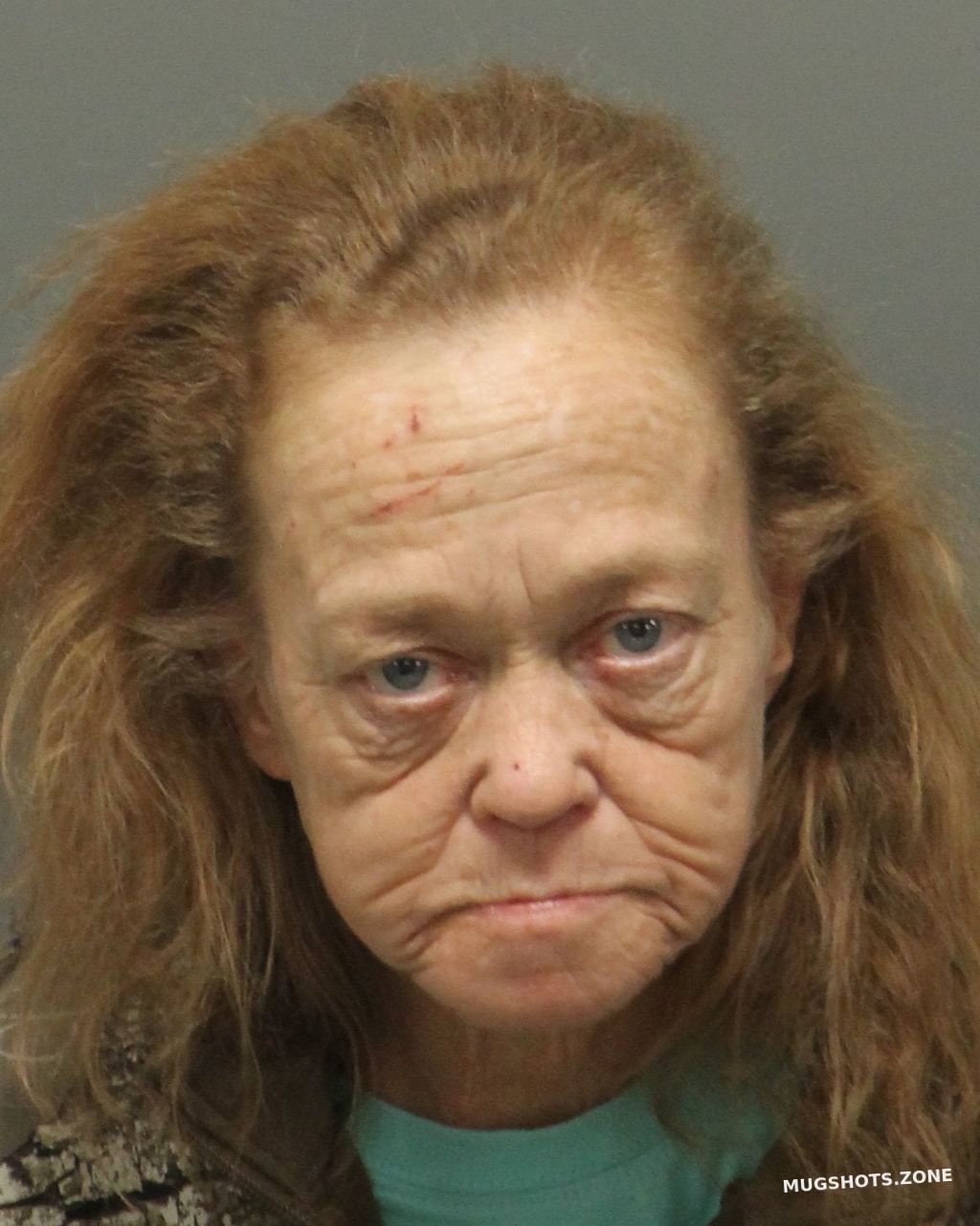 HENSON JANICE LYNNE 01/26/2023 - Wake County Mugshots Zone