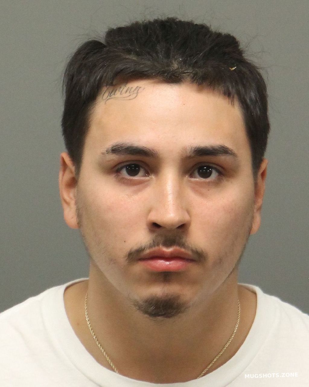 VELASCO MIGUEL CLEMENTE 03/07/2023 - Wake County Mugshots Zone