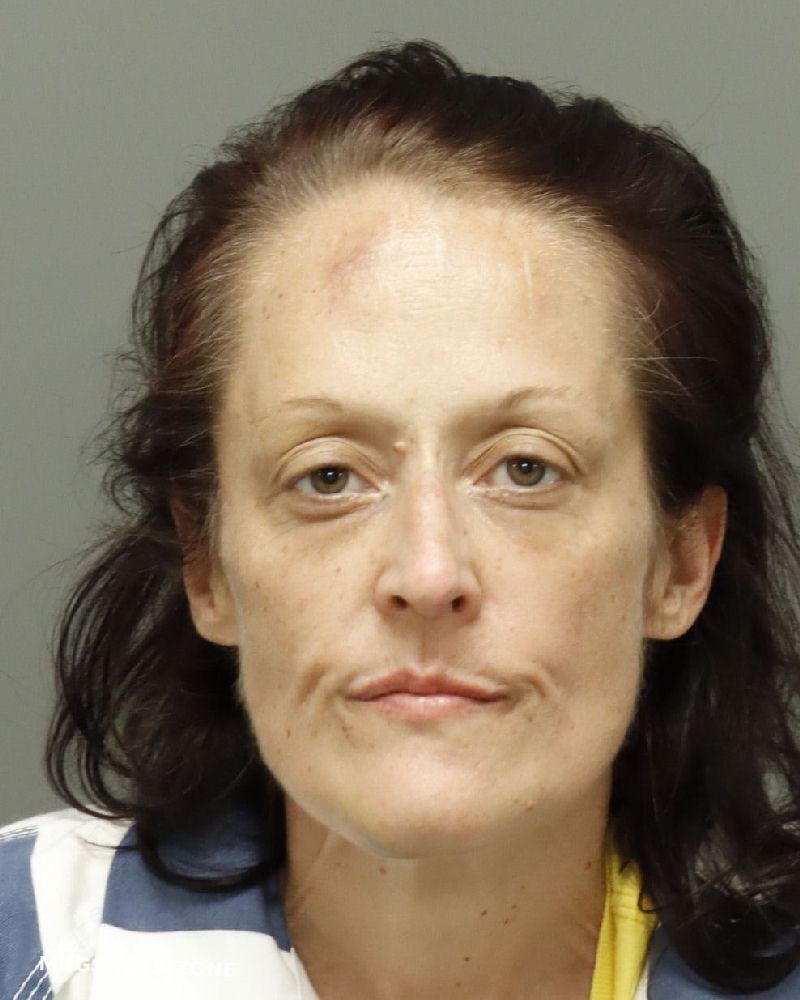 LEICHT HEIDI LYNN 06/14/2023 - Wake County Mugshots Zone