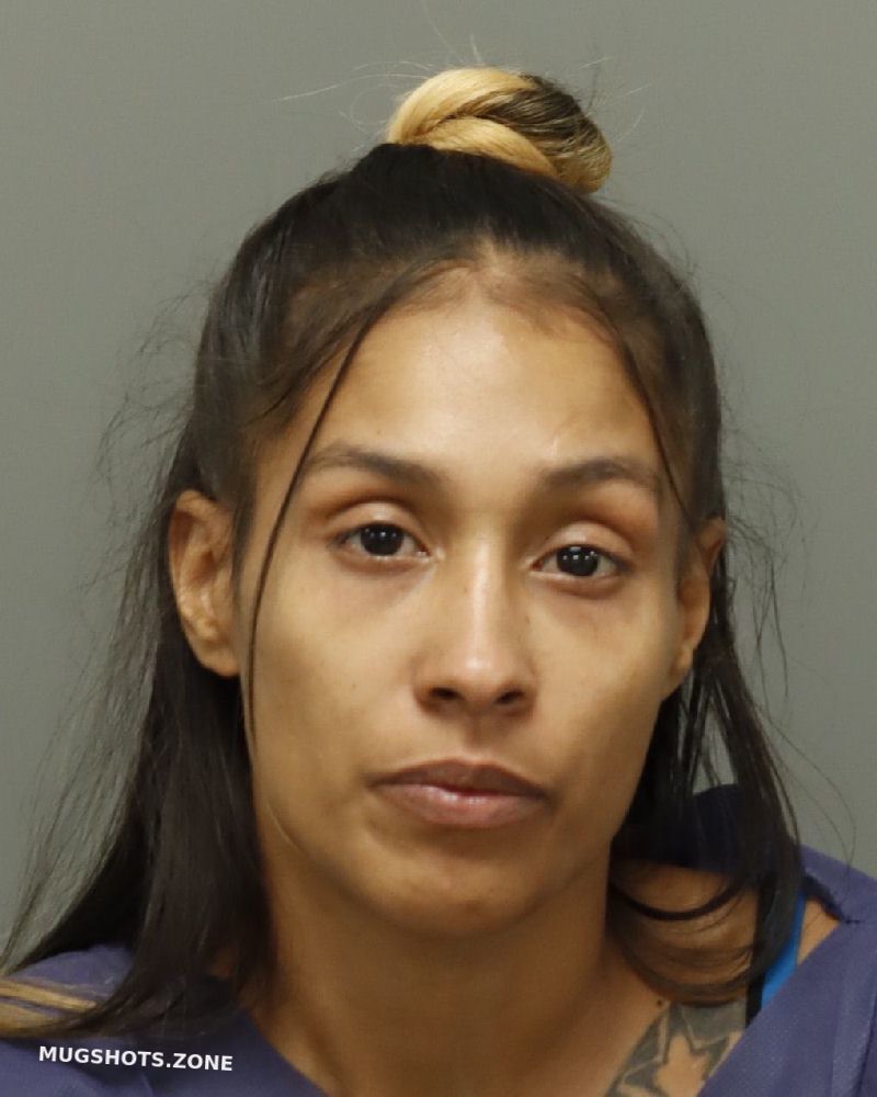 LABRADOR JAIME ELIZABETH 07/17/2023 - Wake County Mugshots Zone