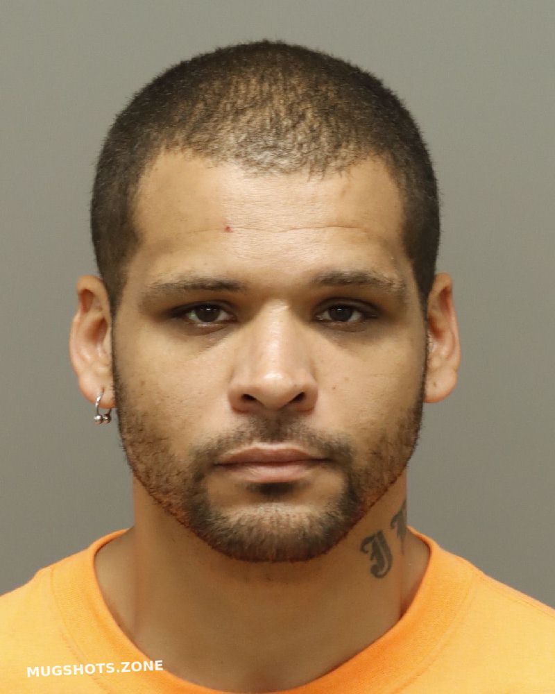 STEPHENSON JAMIE LEE 08/09/2023 - Wake County Mugshots Zone