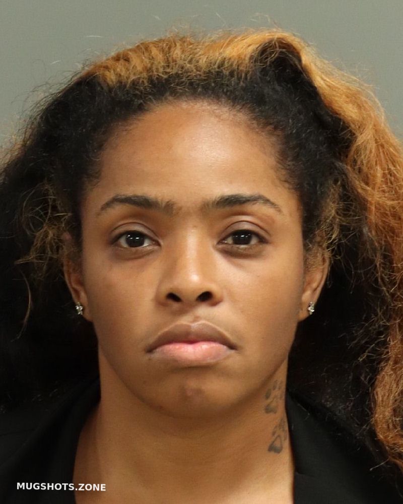 JOHNSON ANGELICA ELYSE 08/12/2023 - Wake County Mugshots Zone