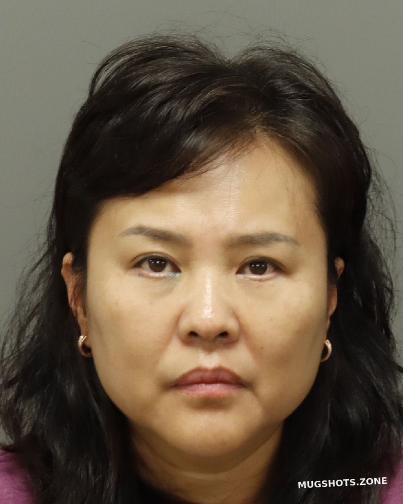 CHEN JING 08/19/2023 - Wake County Mugshots Zone
