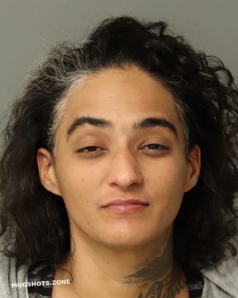 PETTY JAMIE LEIGH 11/10/2023 - Wake County Mugshots Zone