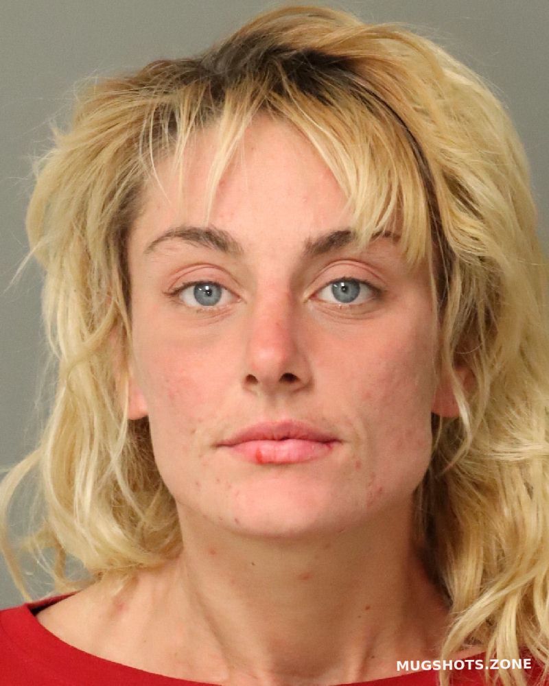 Sylvester Sara Michelle 12 06 2023 Wake County Mugshots Zone