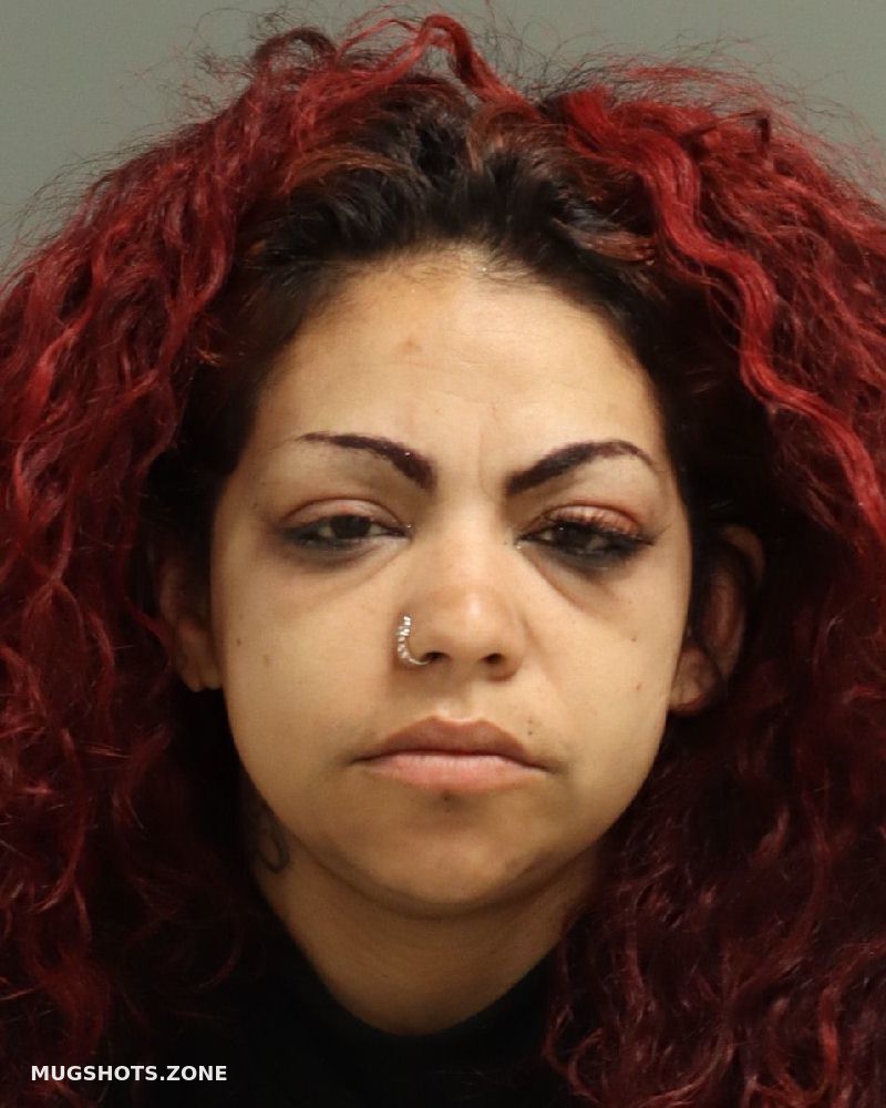 RIVERA DANITZA NANI 02/03/2024 - Wake County Mugshots Zone