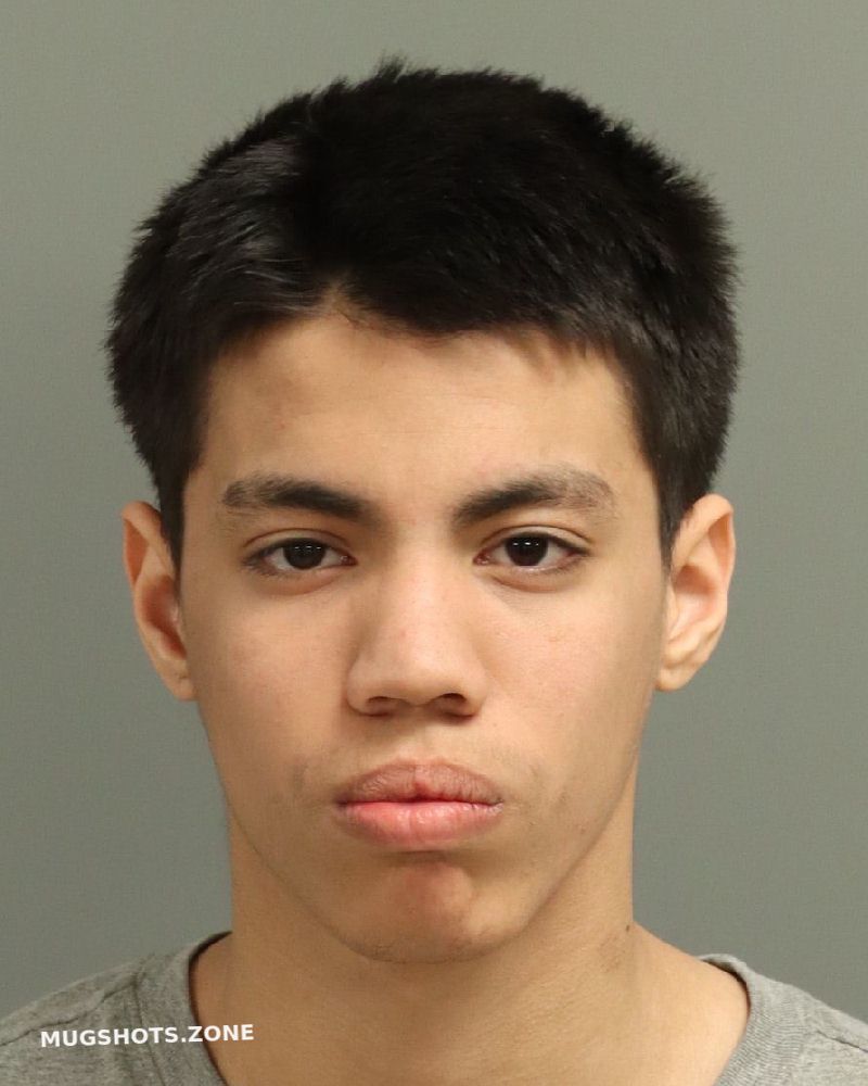 LLANOS-SALAS SEBASTIAN DAVID 03/12/2024 - Wake County Mugshots Zone