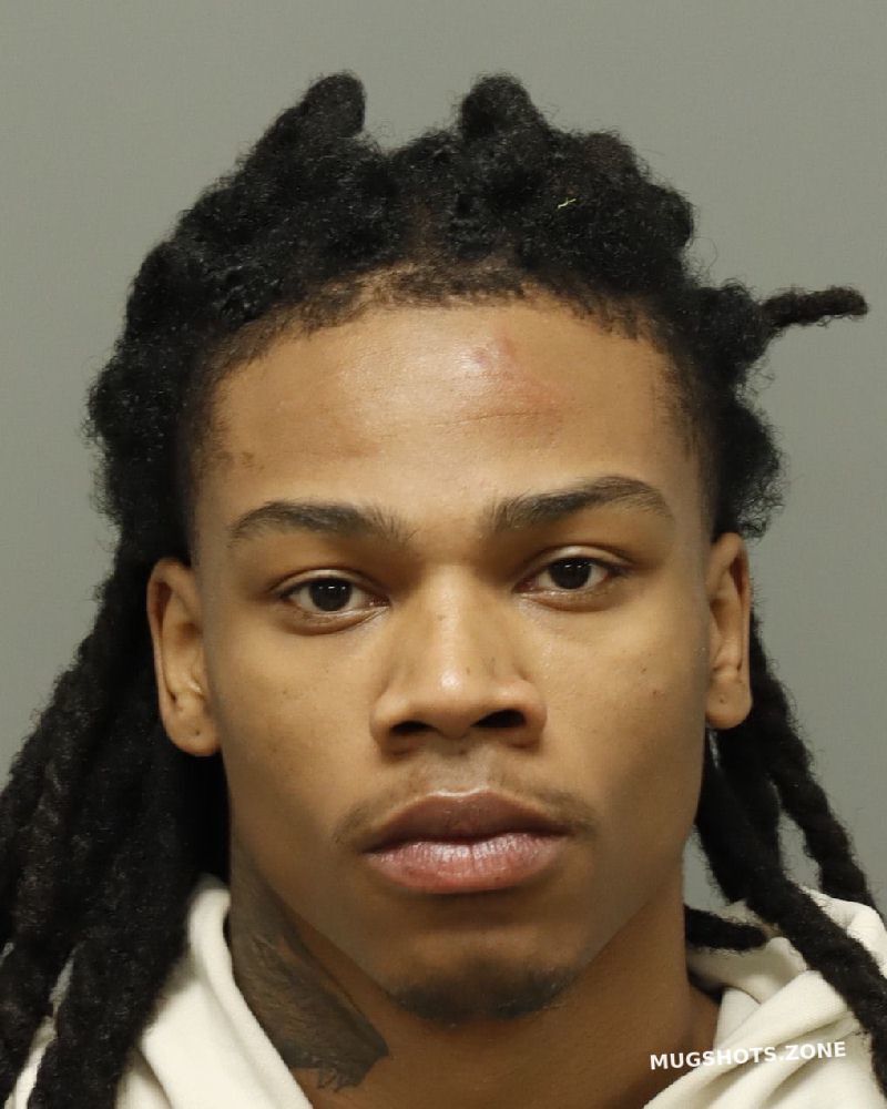 HOLLAND-TERRY DONNAVAN DARNE 04/01/2024 - Wake County Mugshots Zone