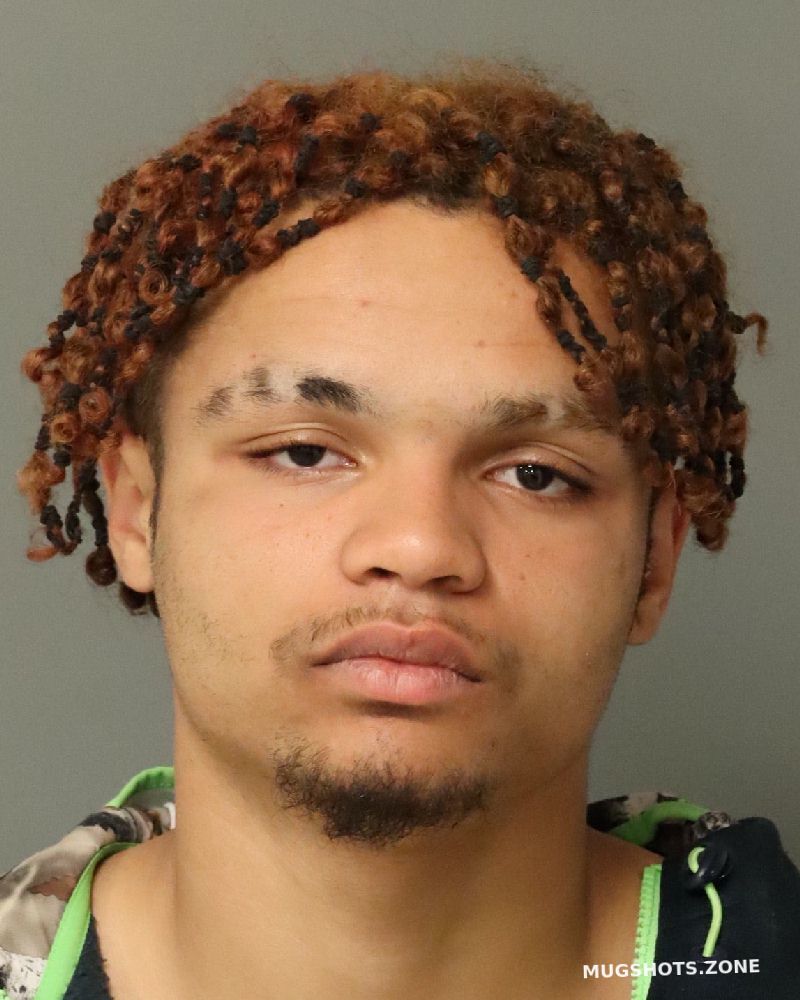 DAVIS GAVIN MICHAEL 04/29/2024 - Wake County Mugshots Zone