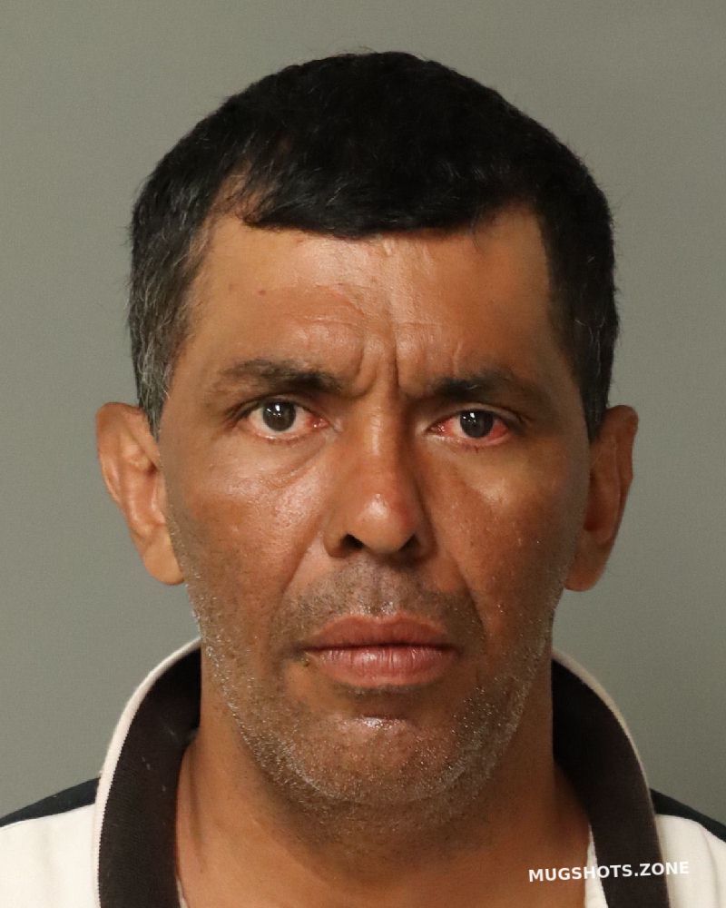 TOLOSA-ALBORNOZ JOSE GREGORI 05/28/2024 - Wake County Mugshots Zone TOLOSA-ALBORNOZ JOSE GREGORI 05/28/2024 - Wake County Mugshots Zone