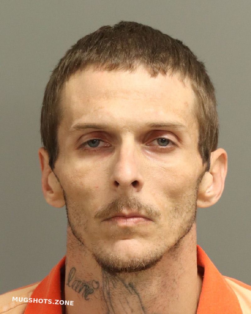 NELSON CHRISTOPHER EDWARD AL 06/10/2024 - Wake County Mugshots Zone