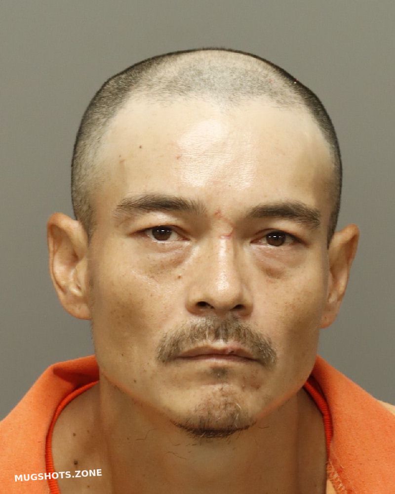 LOUSER BRIAN THOMAS 07/03/2024 - Wake County Mugshots Zone