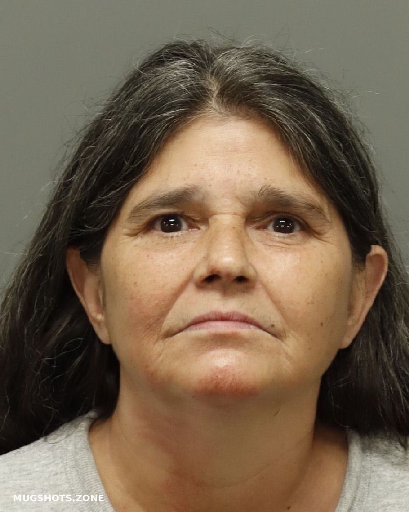 VAN-DIJK TERESA FAY 07/13/2024 - Wake County Mugshots Zone