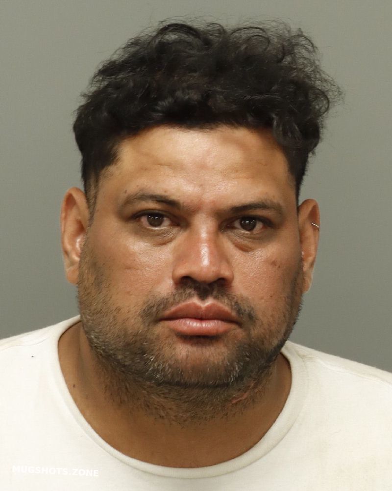 RAPALO-ROJAS LESTER FABRICIO 08/01/2024 - Wake County Mugshots Zone