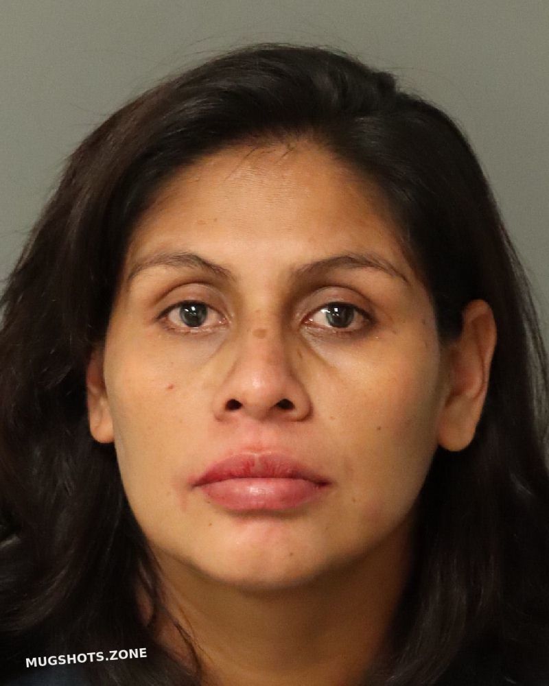 ANTUNEZ LESLEY 08/13/2024 - Wake County Mugshots Zone