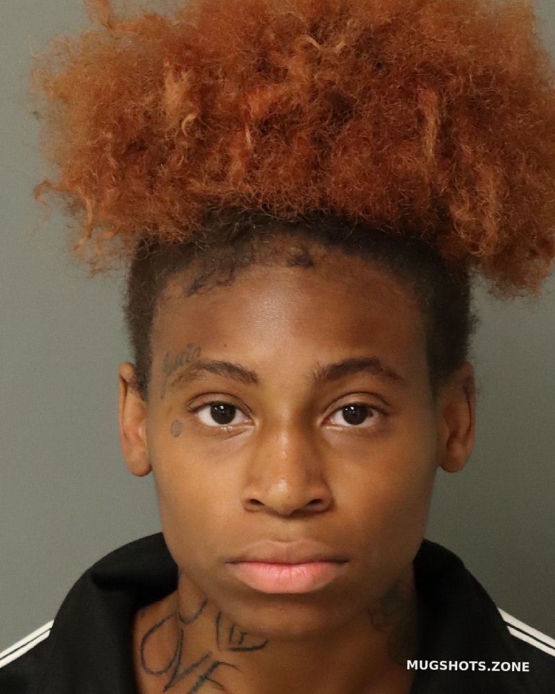 HOGAN OMUNIQUE ANNANICKOLE 08/18/2024 - Wake County Mugshots Zone