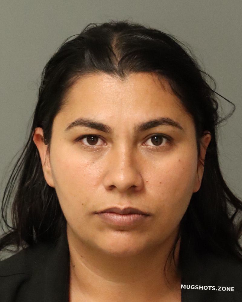 IORTOMAN ELENA 09/15/2024 - Wake County Mugshots Zone
