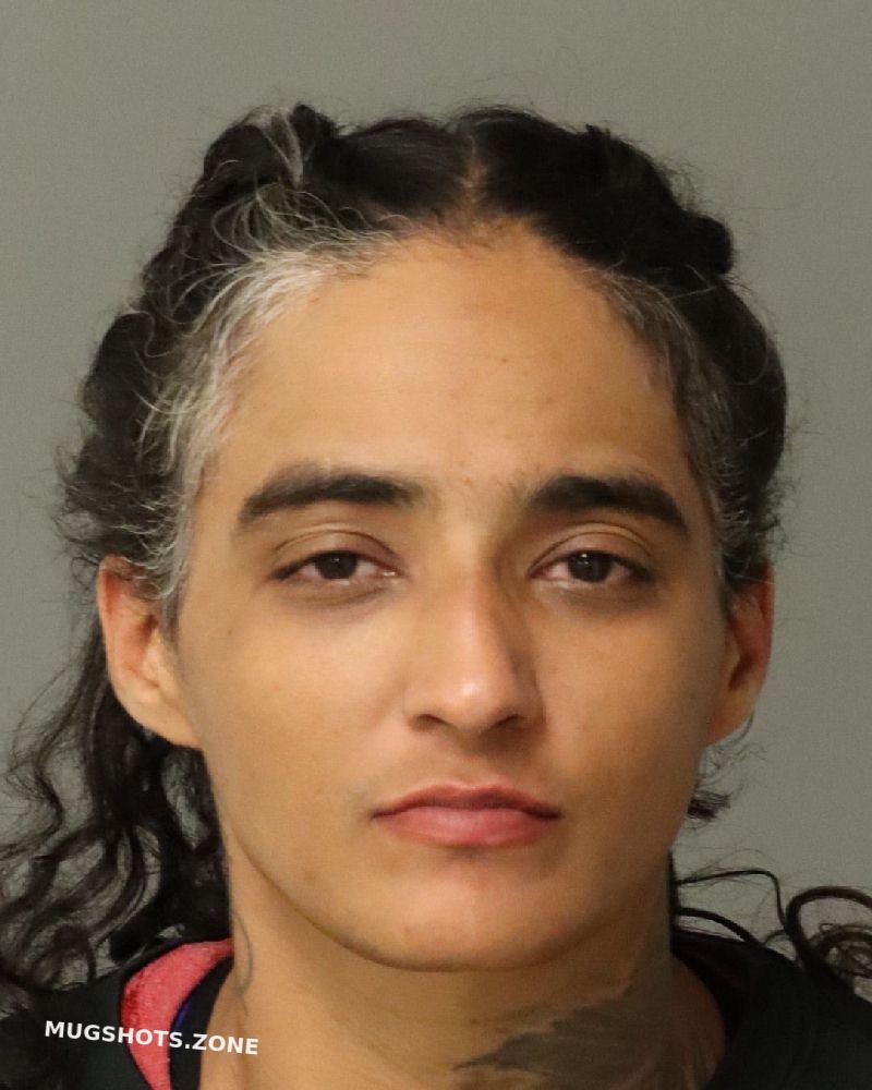 PETTY JAMIE LEIGH 10/12/2024 - Wake County Mugshots Zone