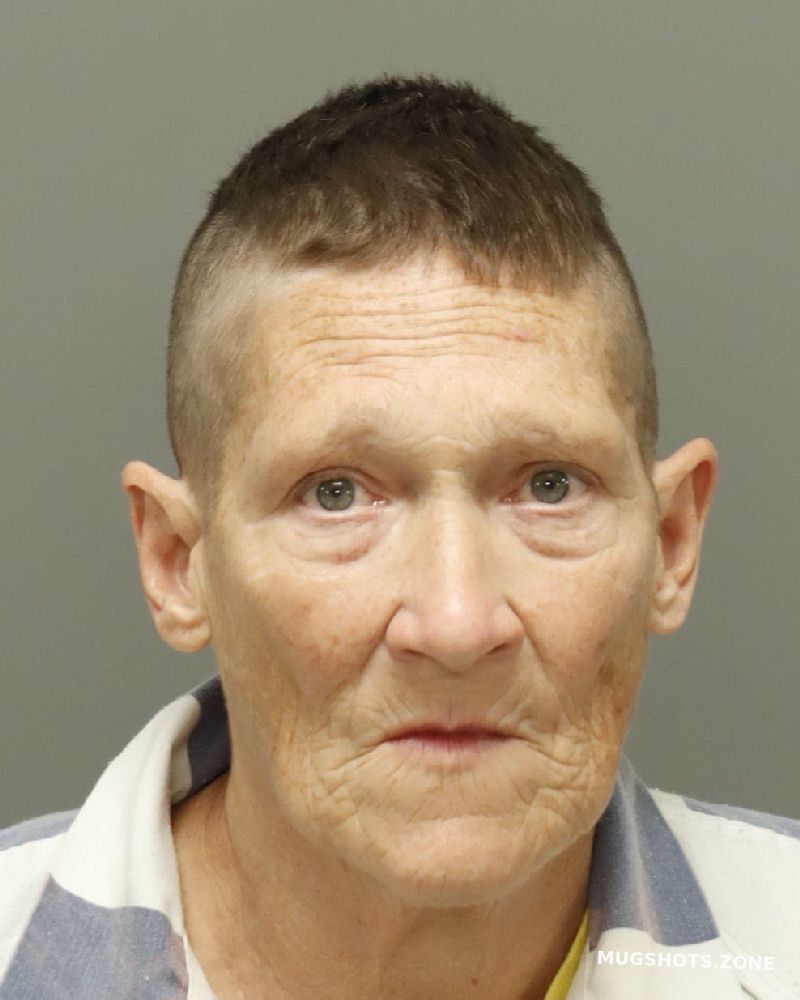 REAGAN ANGELA JEAN 10/22/2024 - Wake County Mugshots Zone