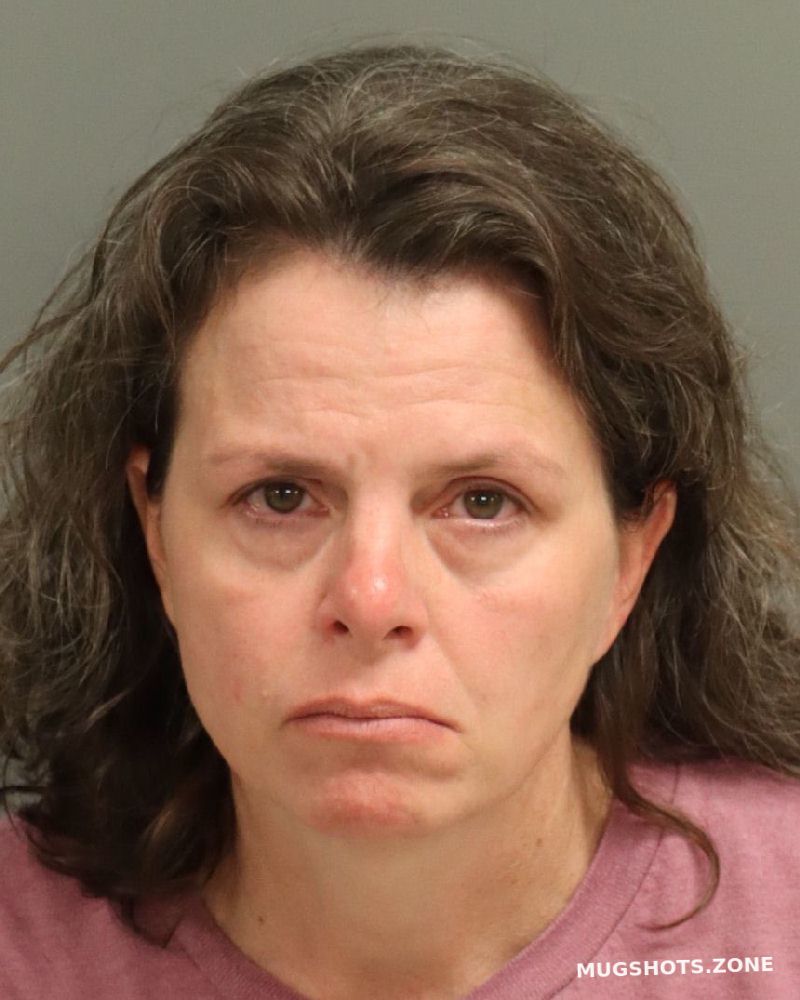 NORTH BETH MARIE 11/05/2024 - Wake County Mugshots Zone