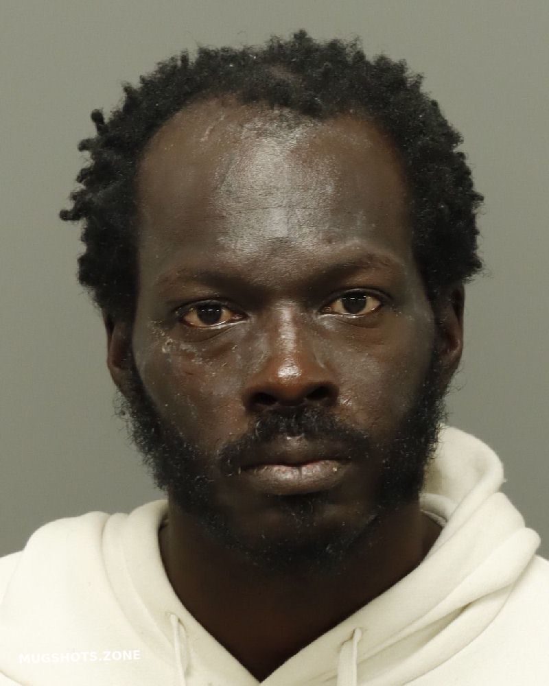HAYWARD LEON TRAVIS FRANC 11/18/2024 - Wake County Mugshots Zone