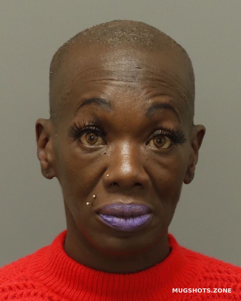 RITTER CYNTHIA ANTOENETTE 11/18/2024 - Wake County Mugshots Zone