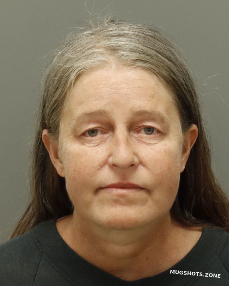 HEINEMAN TRACY ISABELLE 11/21/2024 - Wake County Mugshots Zone