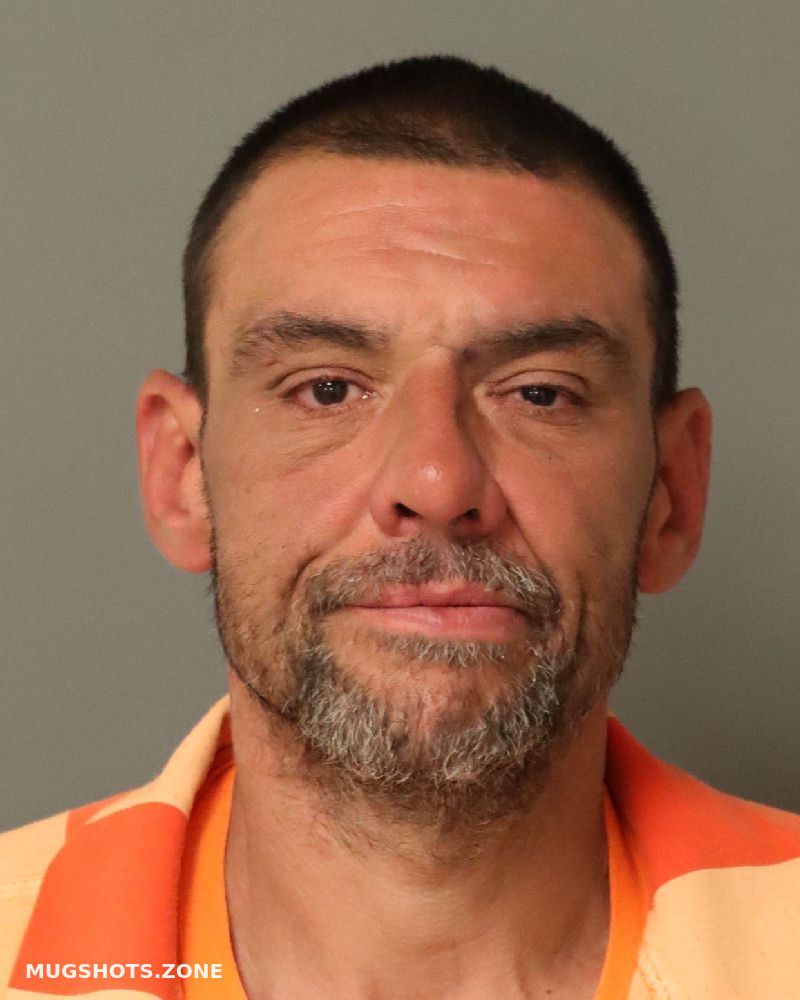 MCCORMICK SHANNON LINFORD 11/21/2024 - Wake County Mugshots Zone