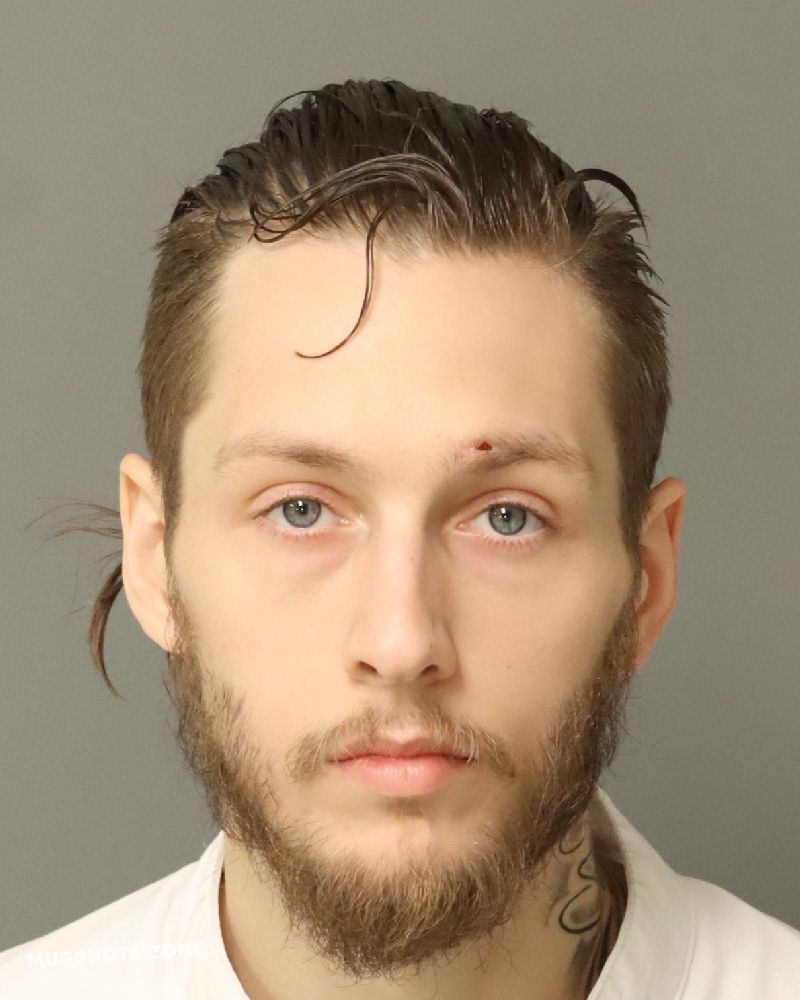 REED BRYAN ALEXANDER 11/23/2024 - Wake County Mugshots Zone